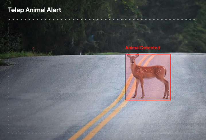 Automated Animal Alert System by Telep