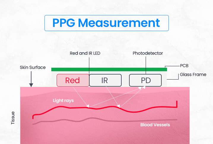 Revolutionize Health Tracking | Teksun Cutting-Edge PPG Solution